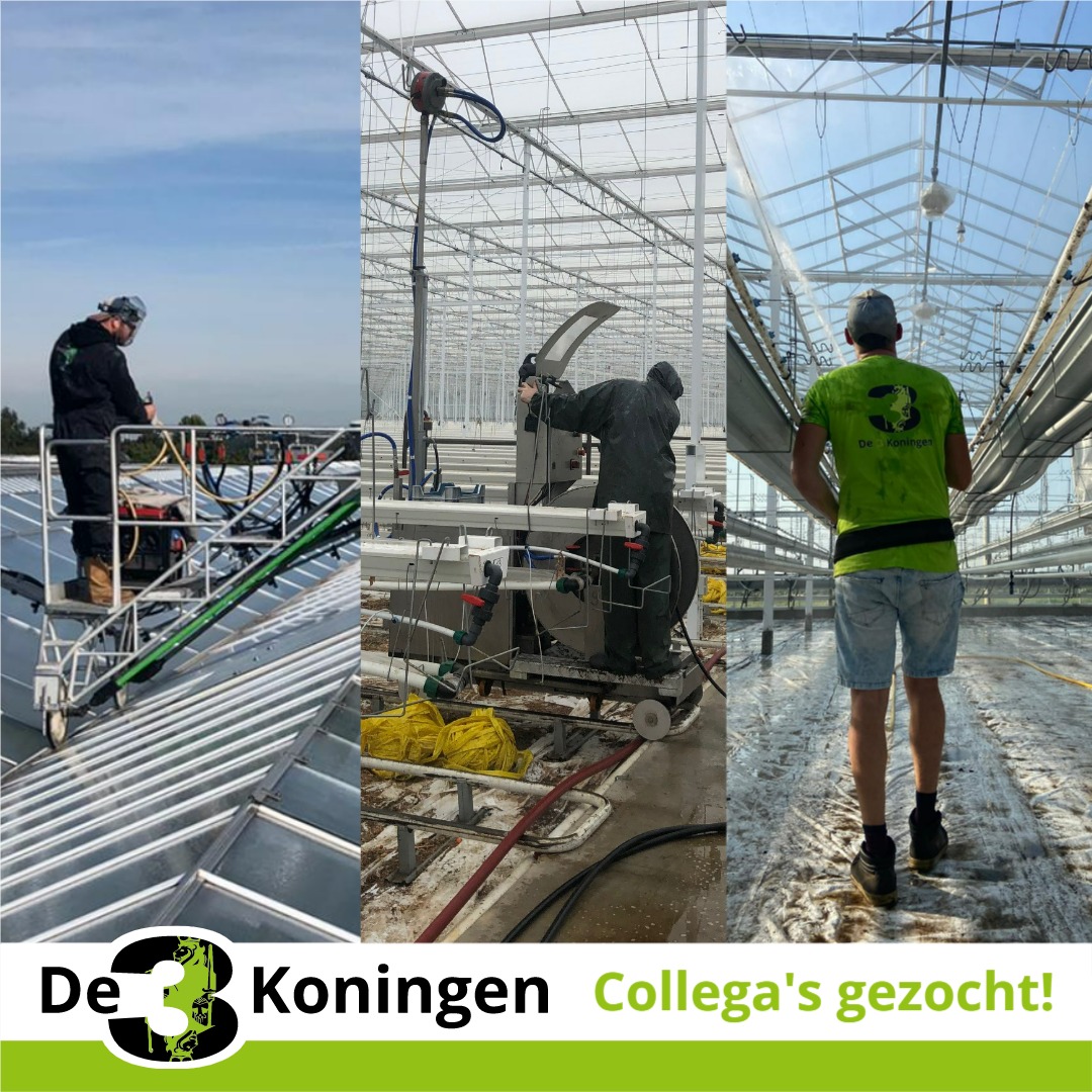 Ons team zoekt versterking - De 3 Koningen
